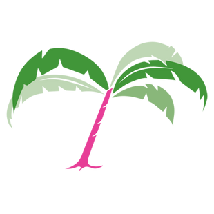 Women's Boutique Clothing, Online Boutique Clothing For Women Texas ...